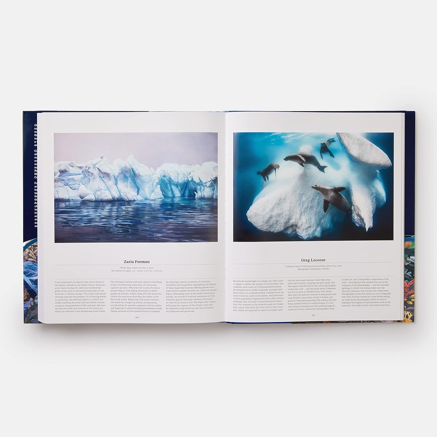 Ocean: Exploring the Marine World – ARTBOOK