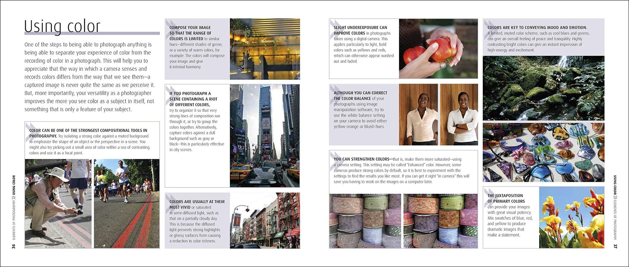 How to Photograph Absolutely Everything_Tom Ang_9781465480255_DORLING ...