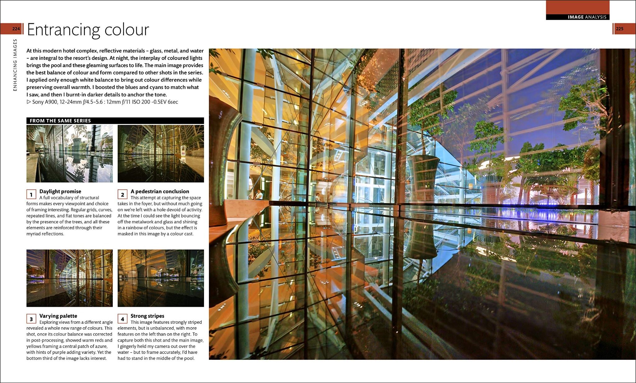 Digital Photography Step by Step_Tom Ang_9780241226797_Dorling Kinders ...