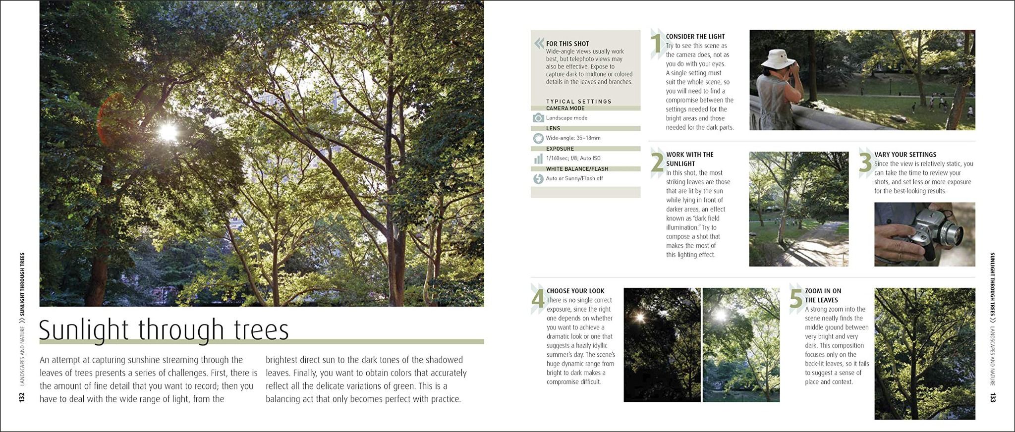 How to Photograph Absolutely Everything_Tom Ang_9781465480255_DORLING ...