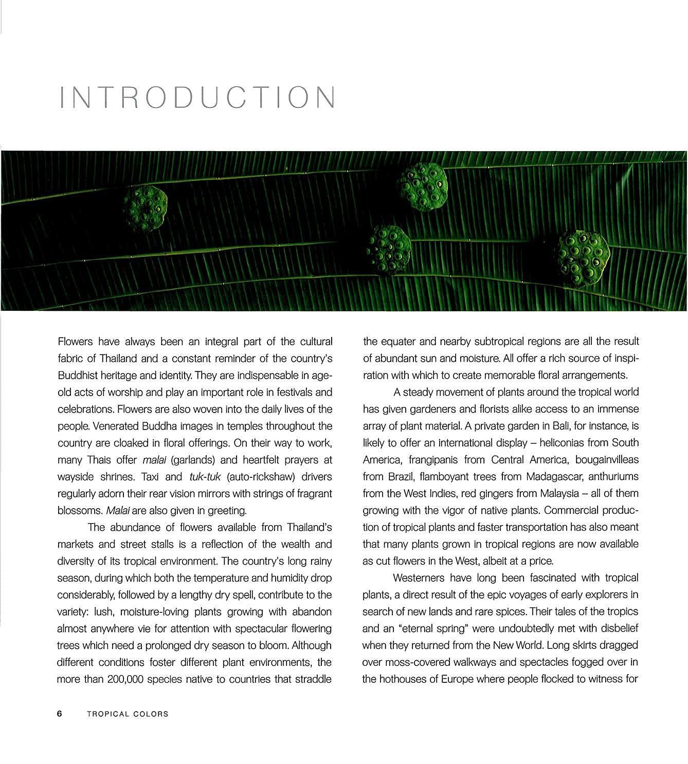 Tropical Colors – ARTBOOK