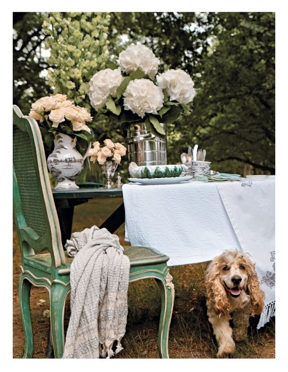 Living Floral_Margot Shaw_9780847863624_Rizzoli International Publicat ...