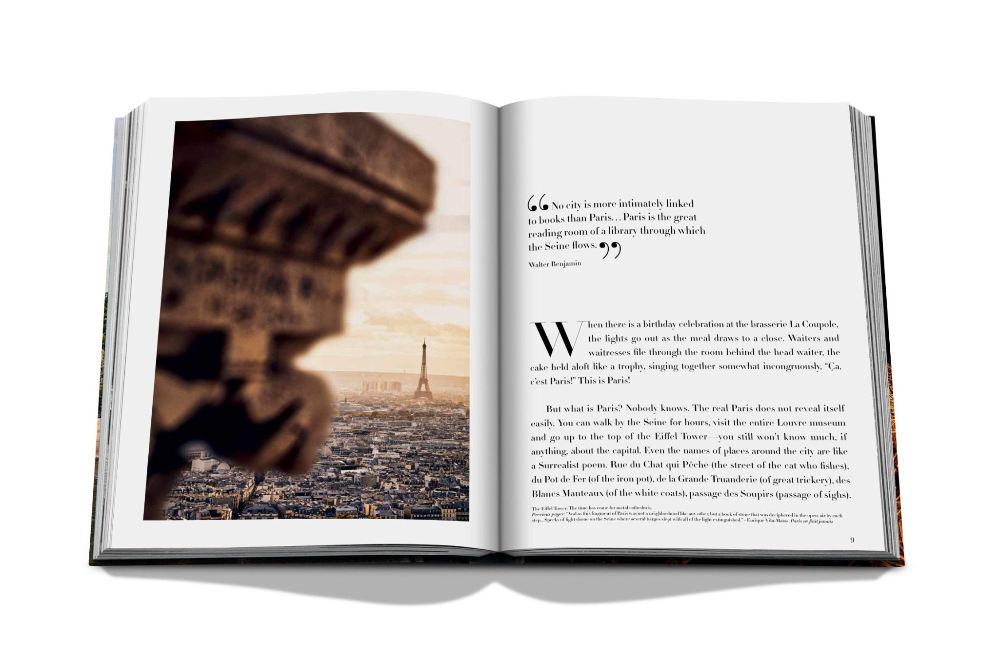 Paris Chic_Alexandra Senes_9781614289333_Assouline – ARTBOOK