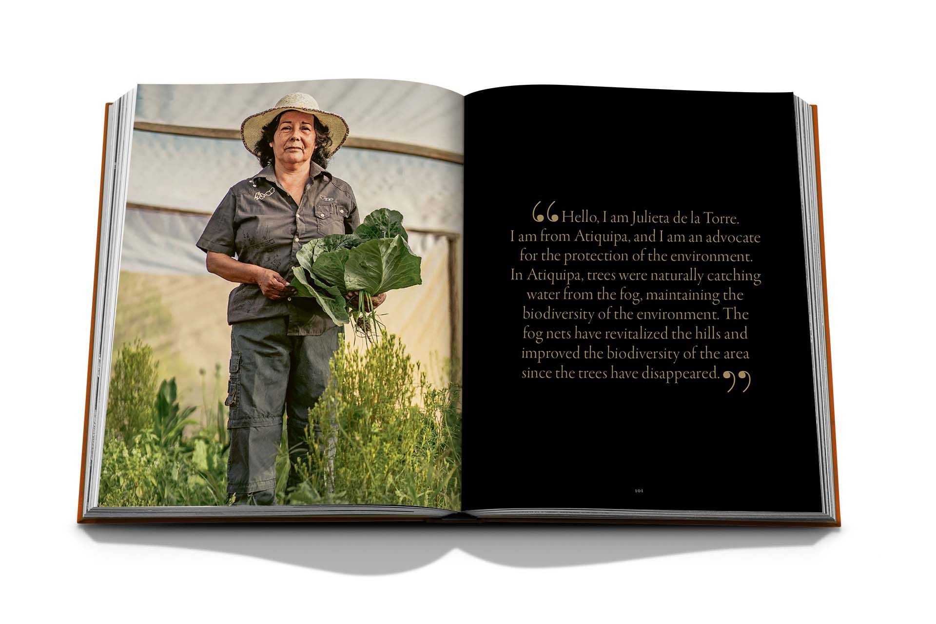 Dubai Expo: Mission Possible_Dr. Federica Busa_9781649800275_Assouline ...