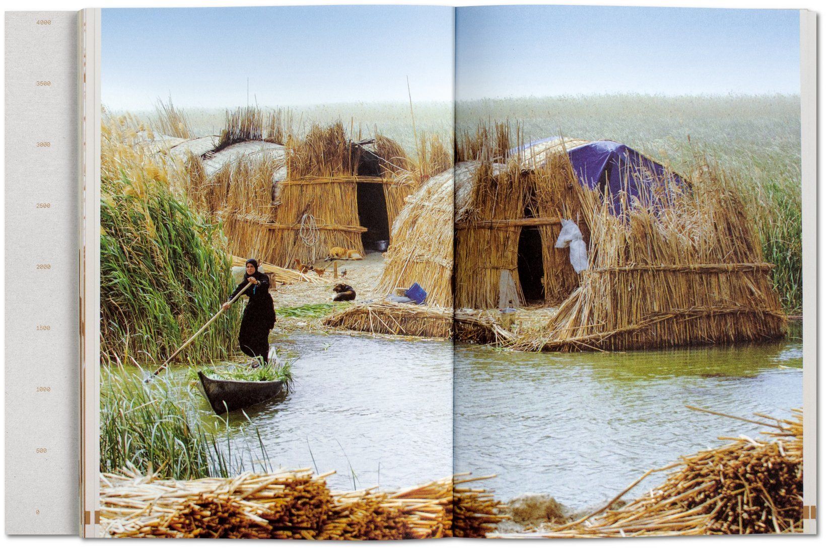 Lo–Tek. Design By Radical Indigenism_Julian Watson_9783836578189_TASCH ...