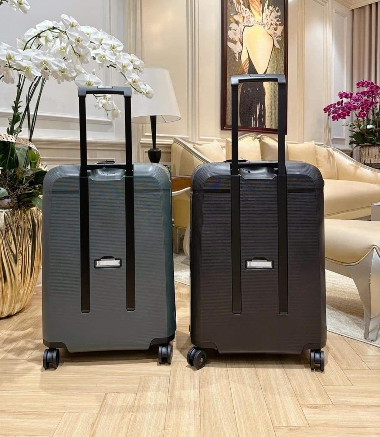 Valy kéo Samsonite Magnum ECO - Made in EU – Anh Thư Hàng Đức