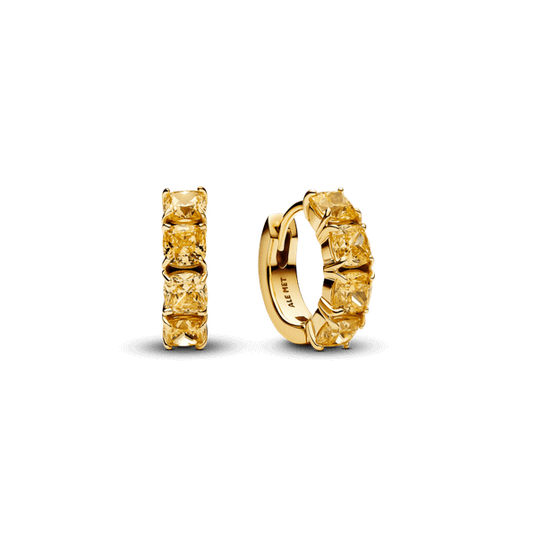 Hoa Tai Pandora Timeless Mạ Vàng 14K Kiểu Tròn - Nắng Vương Trên Tóc ...