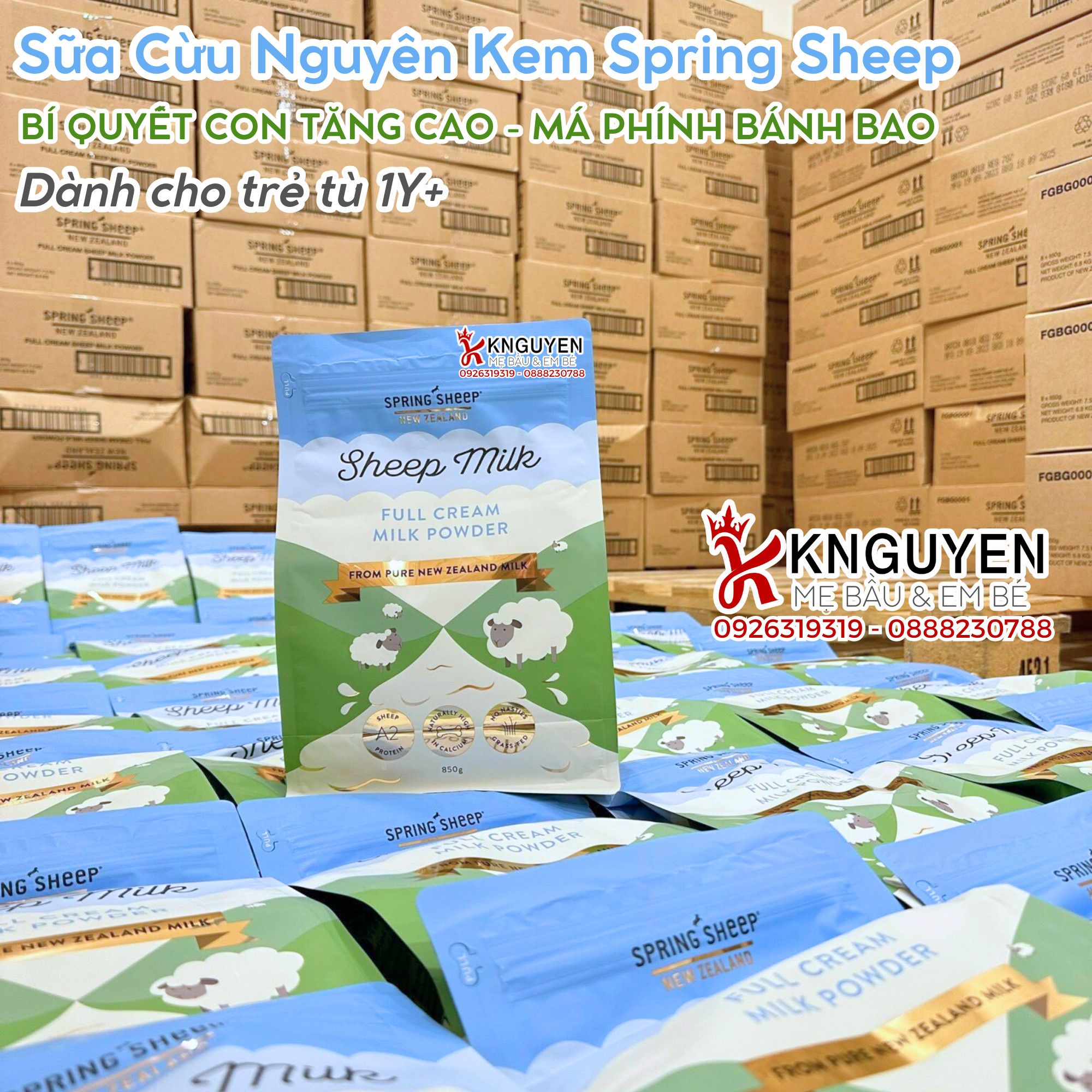 Sữa Cừu Nguyên Chất Spring Sheep – knguyenstore