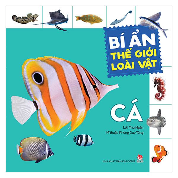 Bí ẩn thế giới loài vật: Cá – Siêu Thị Sách & Tiện Ích Nhân Văn