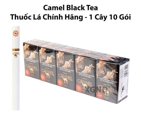 Thuốc Lá Camel Caster Black Tea - Thuốc Lá Bấm Vị Trà Đen