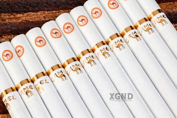 Thuốc Lá Camel Caster Black Tea - Thuốc Lá Bấm Vị Trà Đen