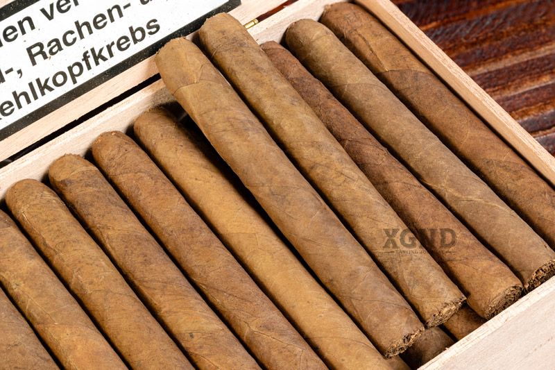 Cigar Meine Cigarillos 60er Sumatra Zigarren - Xì Gà Chính Hãng