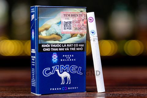 Thuốc Lá Camel Fresh Berry - Camel Lạc Đà Hai Bấm