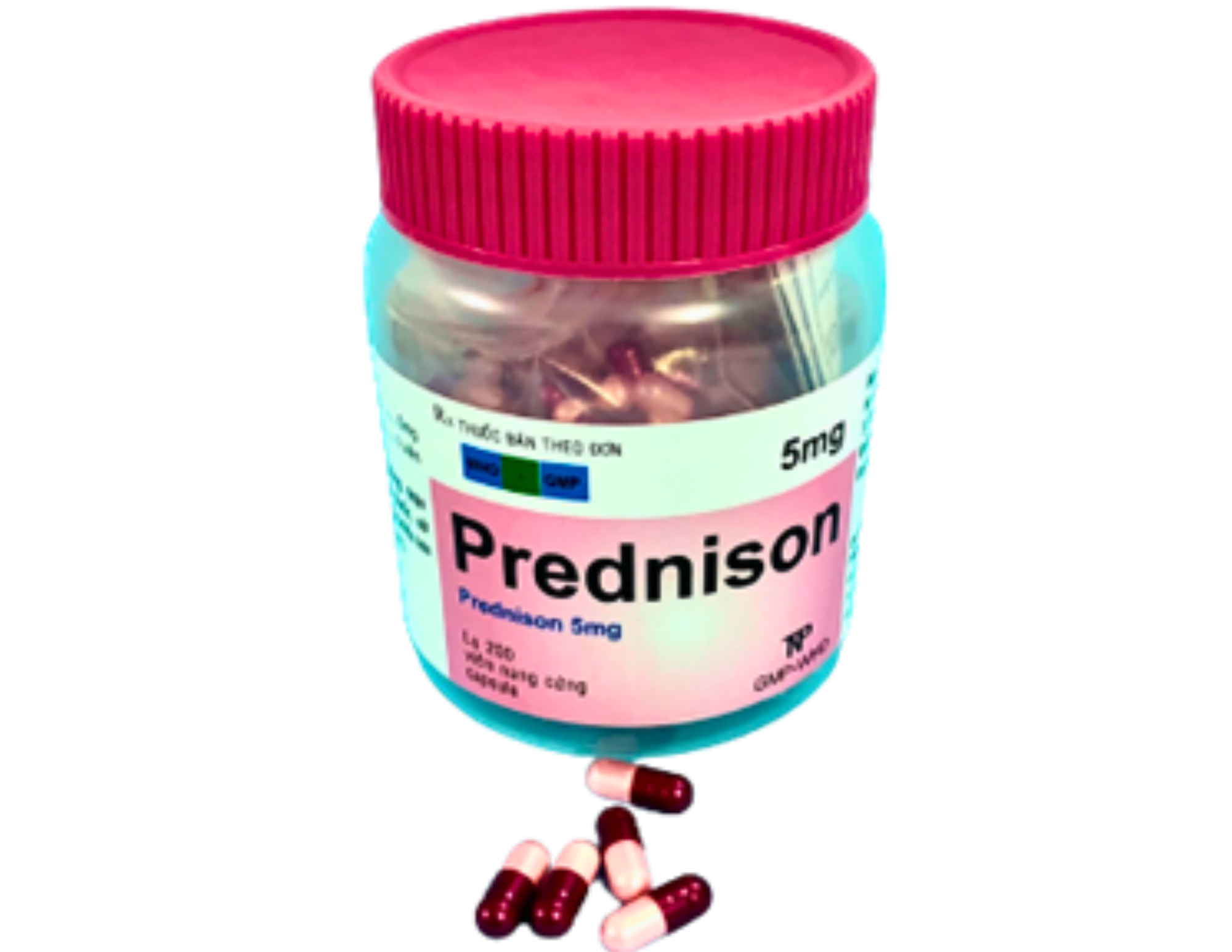 Prednison 5mg Thành Nam (C/200v) (Nâu Hồng) – SHOPTHUOC