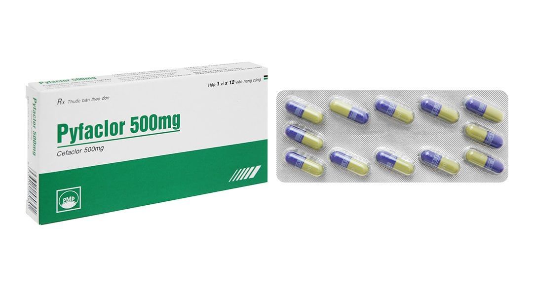 Pyfaclor Cefaclor 500mg Pymepharco (H/12v) – SHOPTHUOC