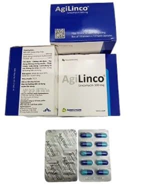 Lincomycin 500mg Agimexpharm (H/100V) – SHOPTHUOC