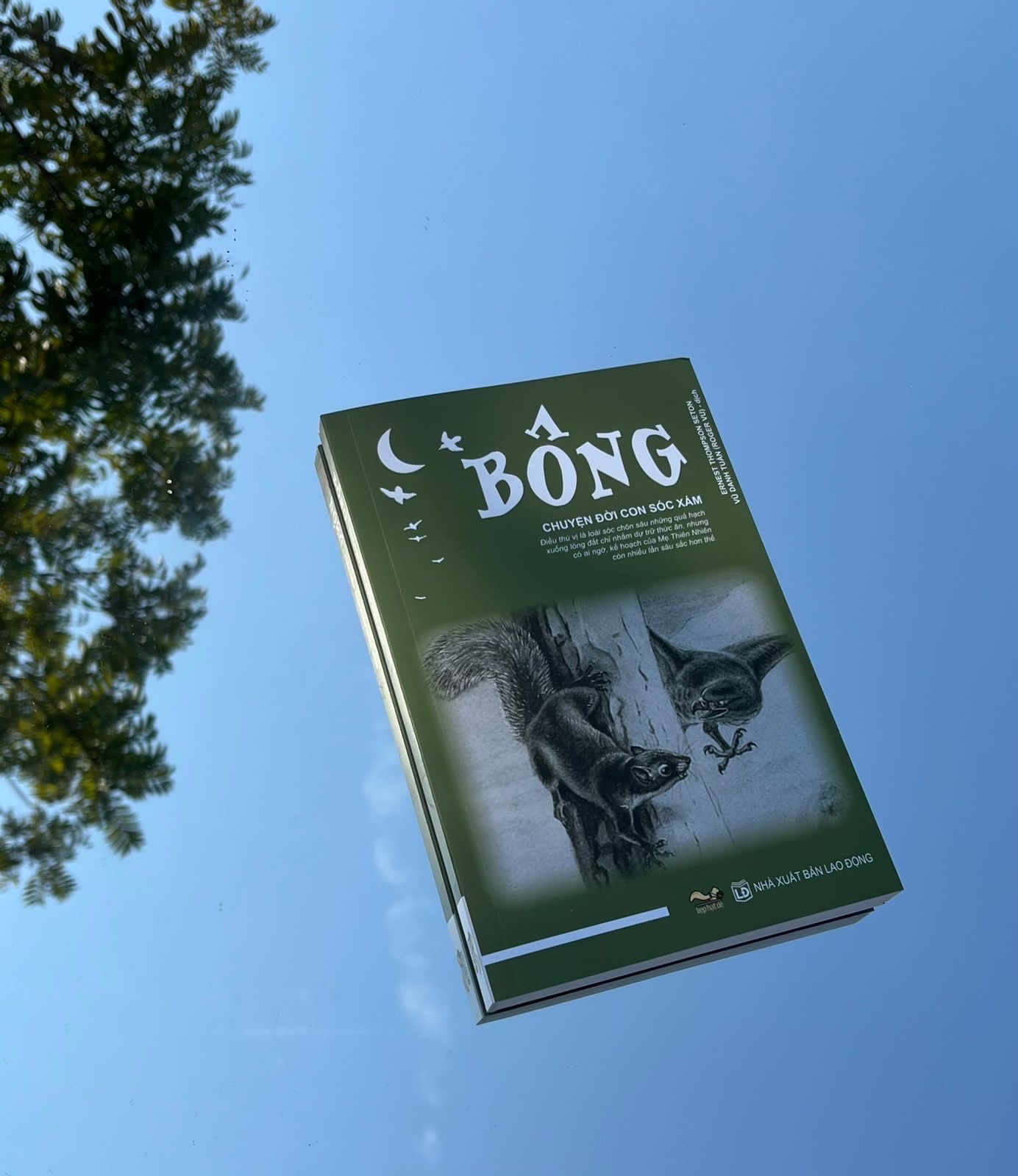 Bông – Chuyện đời con Sóc xám – kephatde