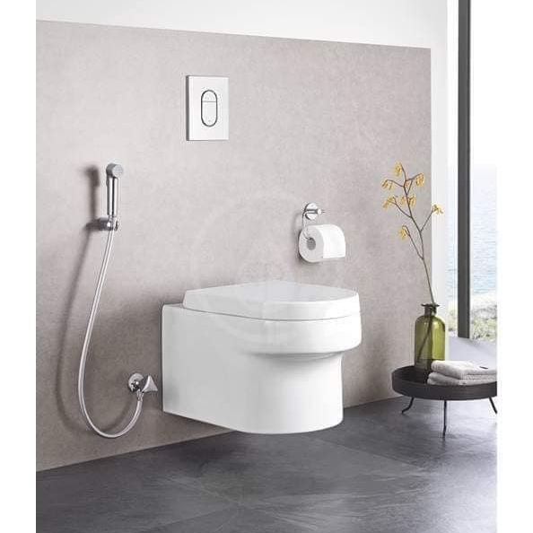 Vòi xịt vệ sinh Grohe Tempesta 27513001