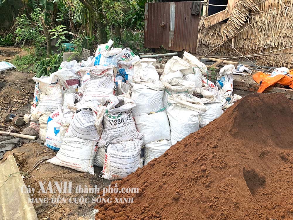 Đất Trồng Cây Đóng Bao Giá Rẻ Nhất Thị Trường | Kinh Nghiệm Lựa Chọn K ...