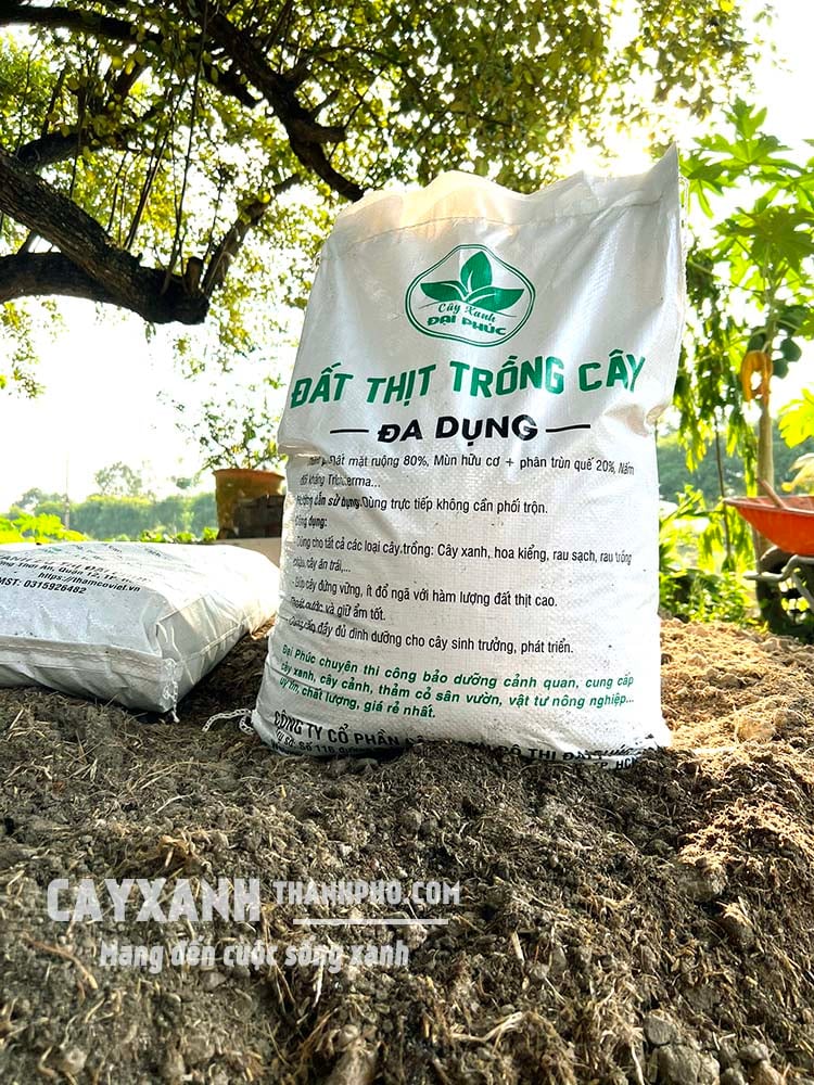 Đất trồng cây trong chậu - Vì sao nên dùng đất sạch trồng cây và mua đ ...