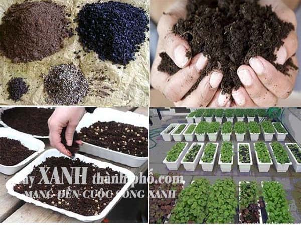 TOP 4 loại đất trồng cây chất lượng nhất hiện nay – CÔNG TY CP CÂY XANH ...