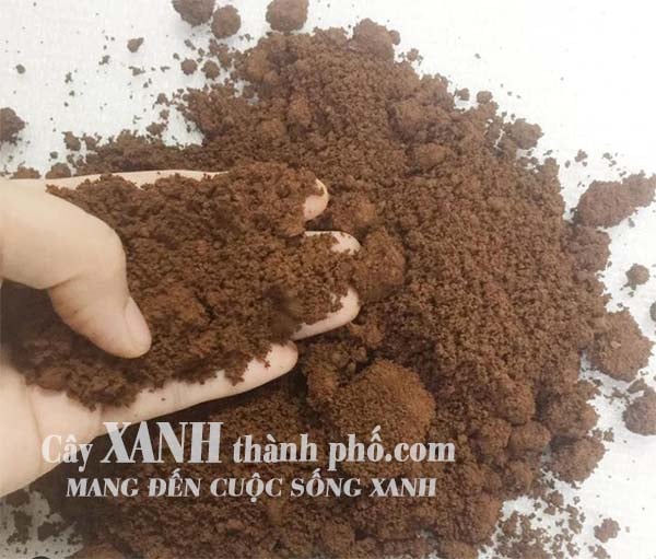 TOP 4 loại đất trồng cây chất lượng nhất hiện nay – CÔNG TY CP CÂY XANH ...
