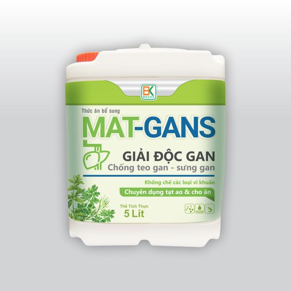 MAT-GANS - Can 5 Lít (BKNH74.08 - BT-GG07) – B.E.C.K.A