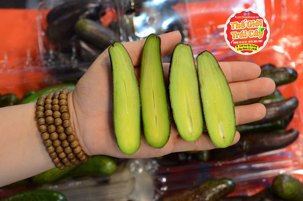 Bơ mini không hạt – Thế Giới Trái Cây