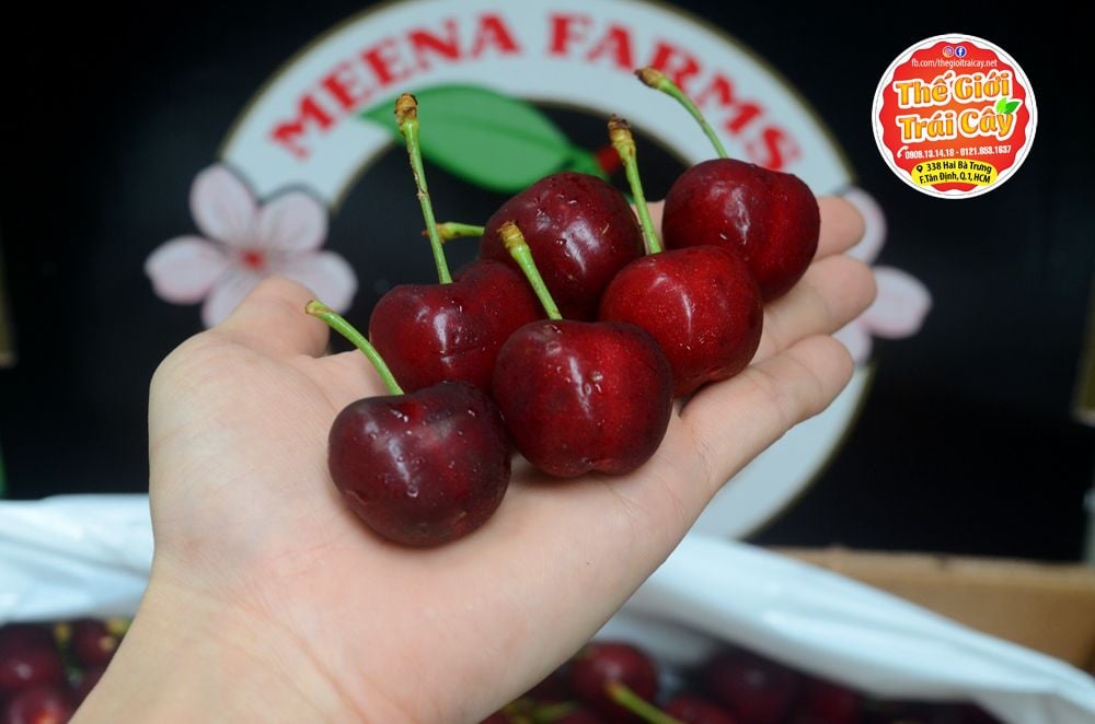 Cherry đỏ Mỹ size 9.5 – Thế Giới Trái Cây