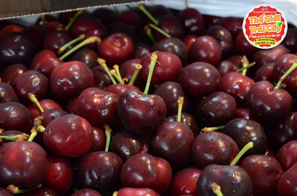 Cherry đỏ Mỹ size 9.5 – Thế Giới Trái Cây