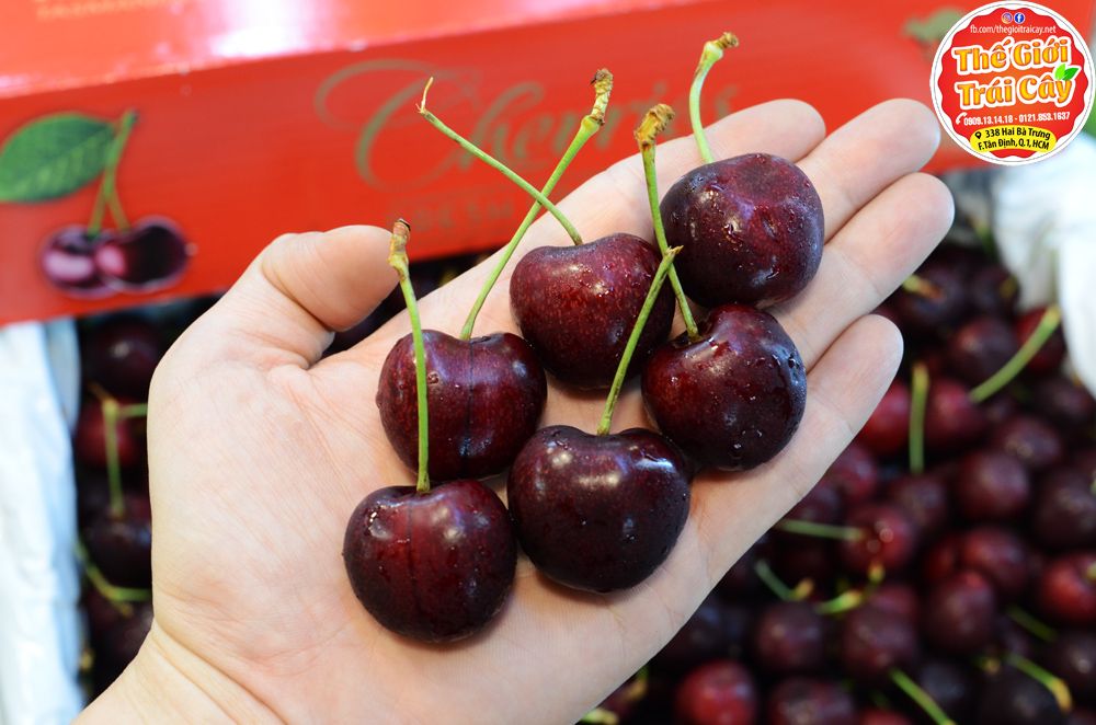 Cherry Úc ReidFruit Tasmania size 28-30mm – Thế Giới Trái Cây