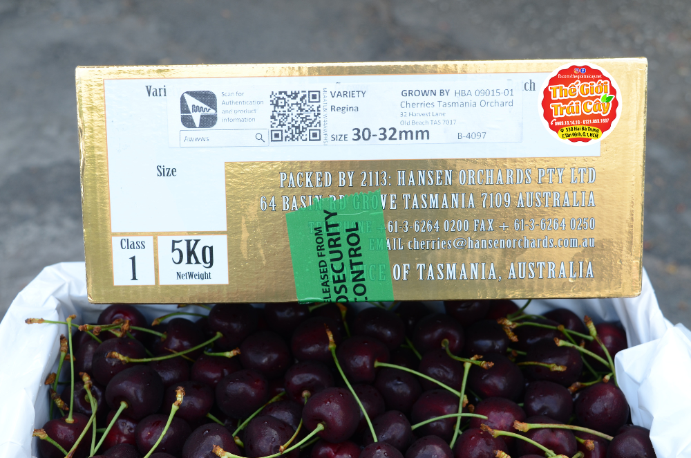 Cherry Úc HansenGold Tasmania size 30_32mm – Thế Giới Trái Cây