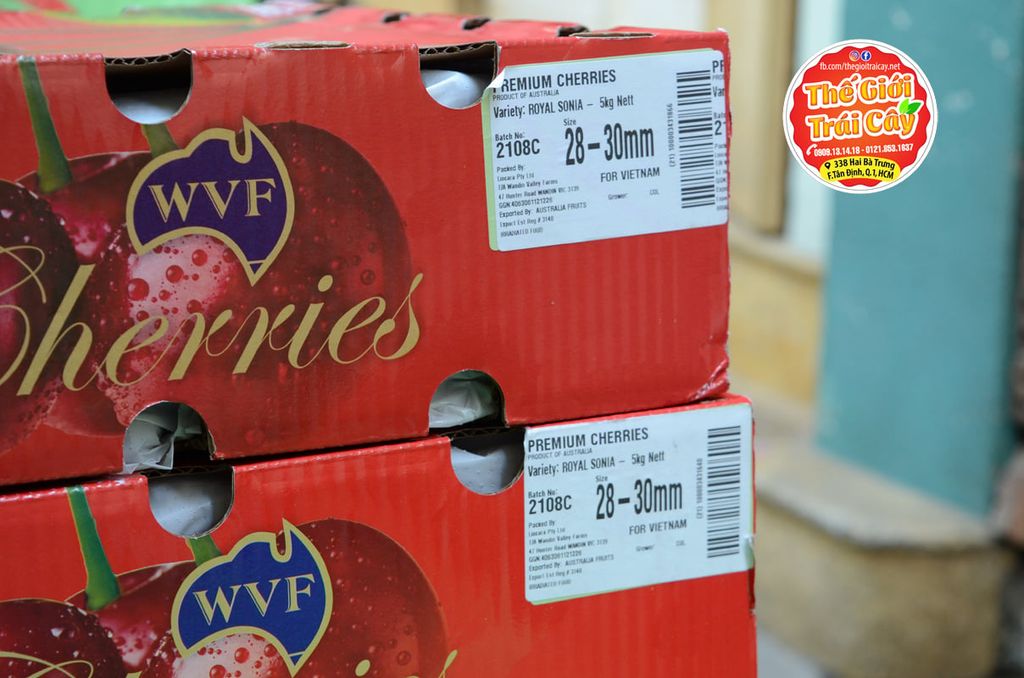 Cherry Úc WVF size 28_30mm – Thế Giới Trái Cây