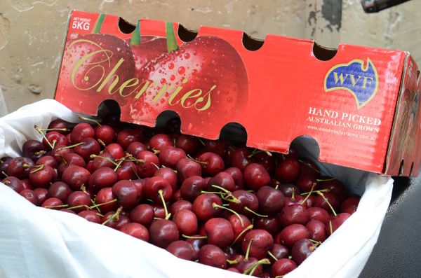 Cherry Úc WVF size 28_30mm – Thế Giới Trái Cây