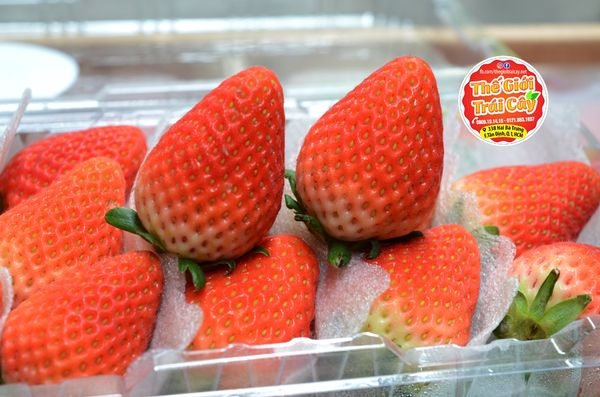 Dâu Hàn quốc GoldenFruit – Thế Giới Trái Cây