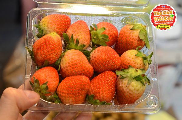 Dâu Hàn quốc hộp 250gr – Thế Giới Trái Cây