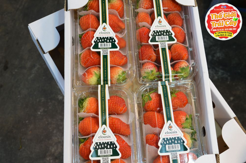 Dâu Hàn quốc GoldenFruit - hộp 330gr – Thế Giới Trái Cây