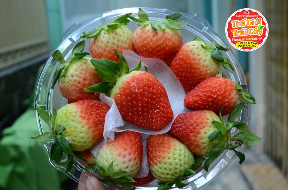 Dâu Hàn quốc 500gr - hộp – Thế Giới Trái Cây