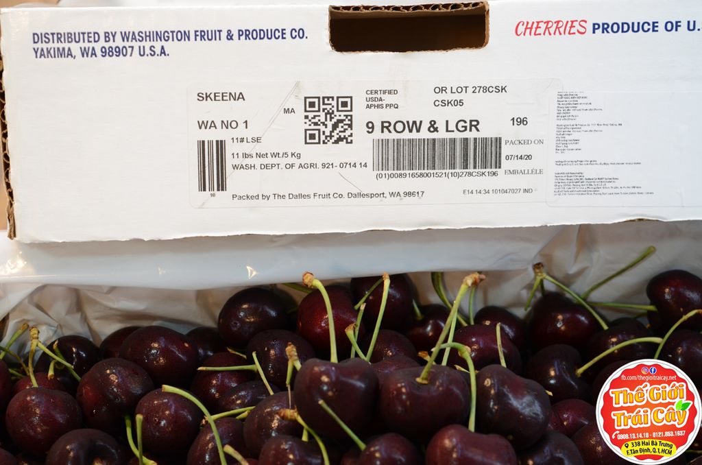 Cherry đỏ Mỹ Chuông – Thế Giới Trái Cây
