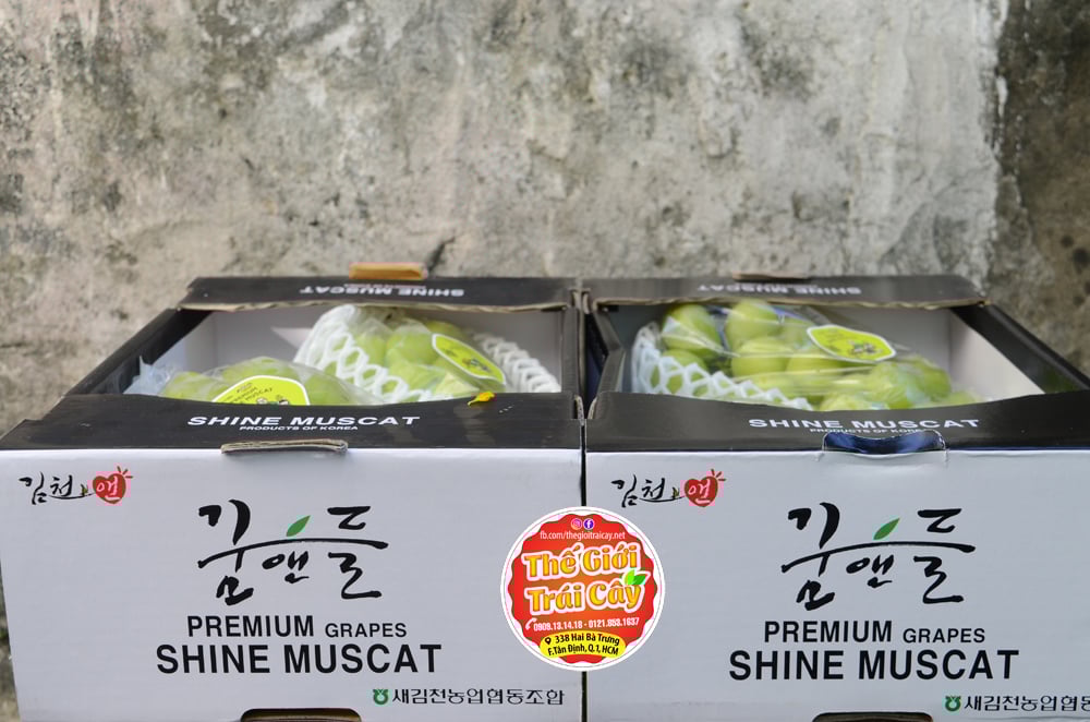 Nho Mẫu đơn Shine Muscat Hàn quốc – Thế Giới Trái Cây