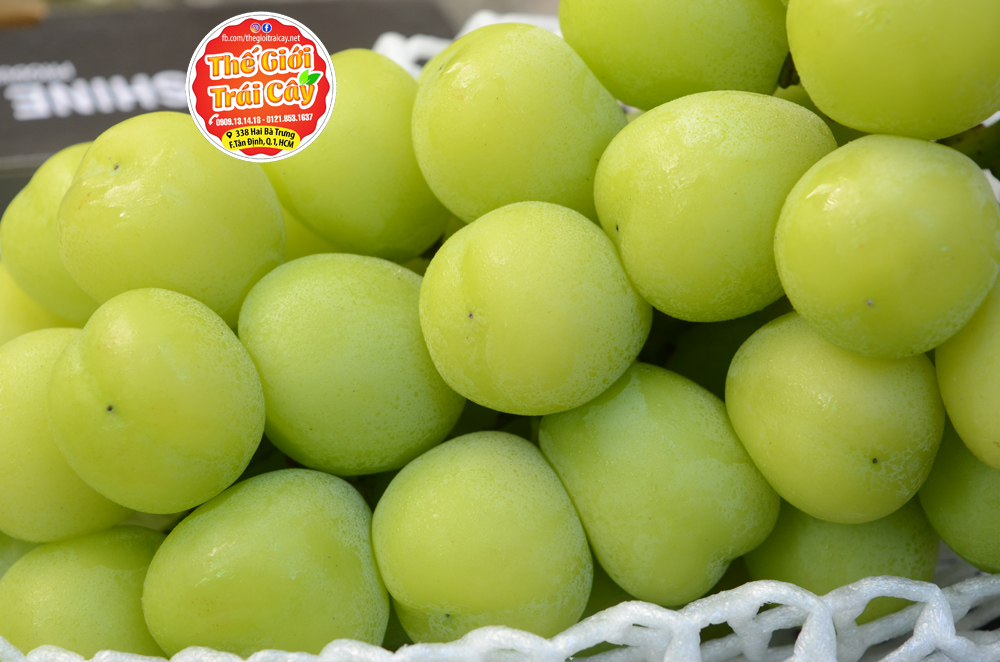 Nho Mẫu đơn Shine Muscat Hàn quốc – Thế Giới Trái Cây