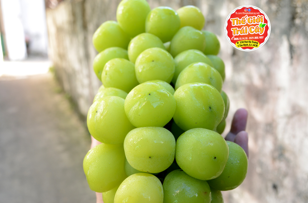 Nho Mẫu đơn Shine Muscat Hàn quốc – Thế Giới Trái Cây