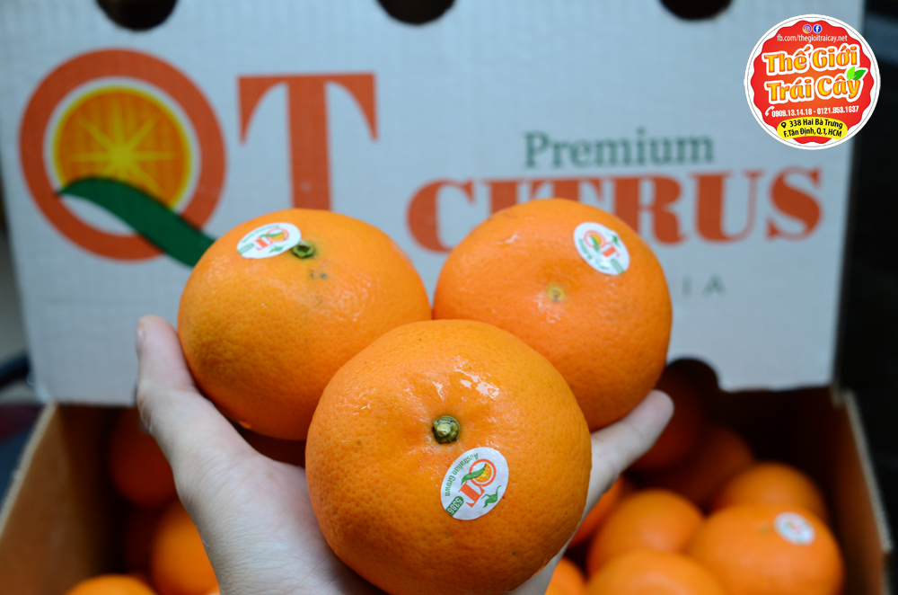 Quýt Úc Honey Murrcot – Thế Giới Trái Cây
