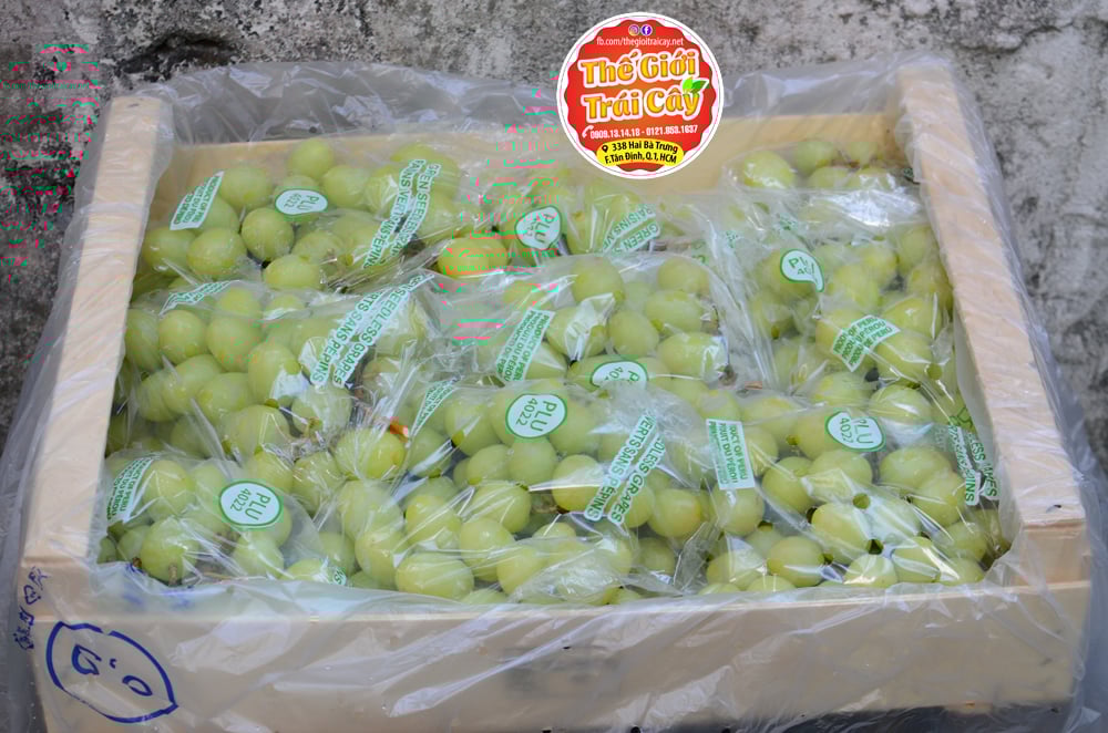 Nho xanh Autumn Crips Peru – Thế Giới Trái Cây