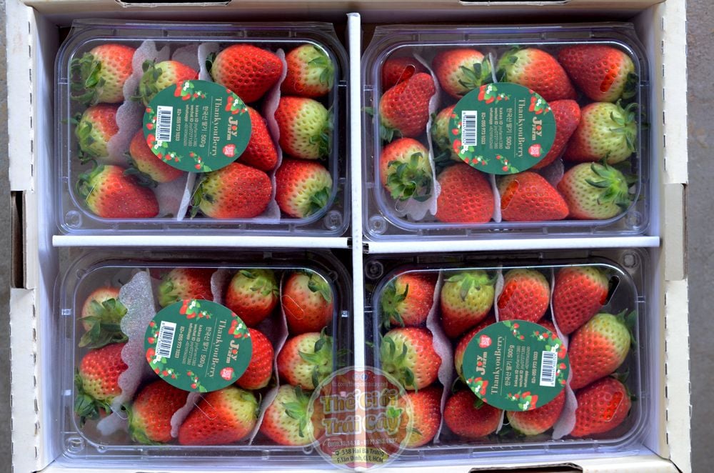 Dâu Hàn quốc hộp 500gr – Thế Giới Trái Cây