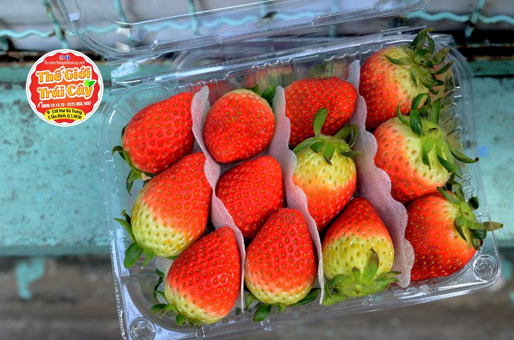 Dâu Hàn quốc hộp 500gr – Thế Giới Trái Cây