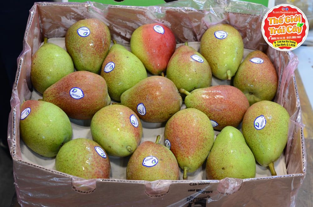 Lê nam phi – Thế Giới Trái Cây