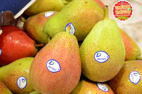 Lê nam phi – Thế Giới Trái Cây