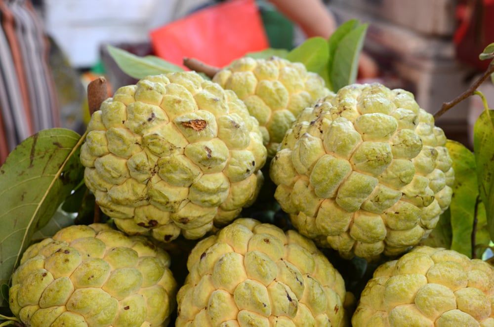 Mãng cầu Na – Thế Giới Trái Cây