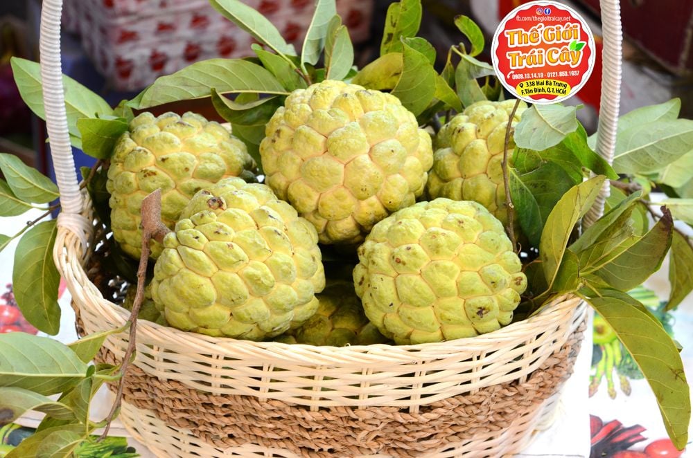 Mãng cầu Na – Thế Giới Trái Cây